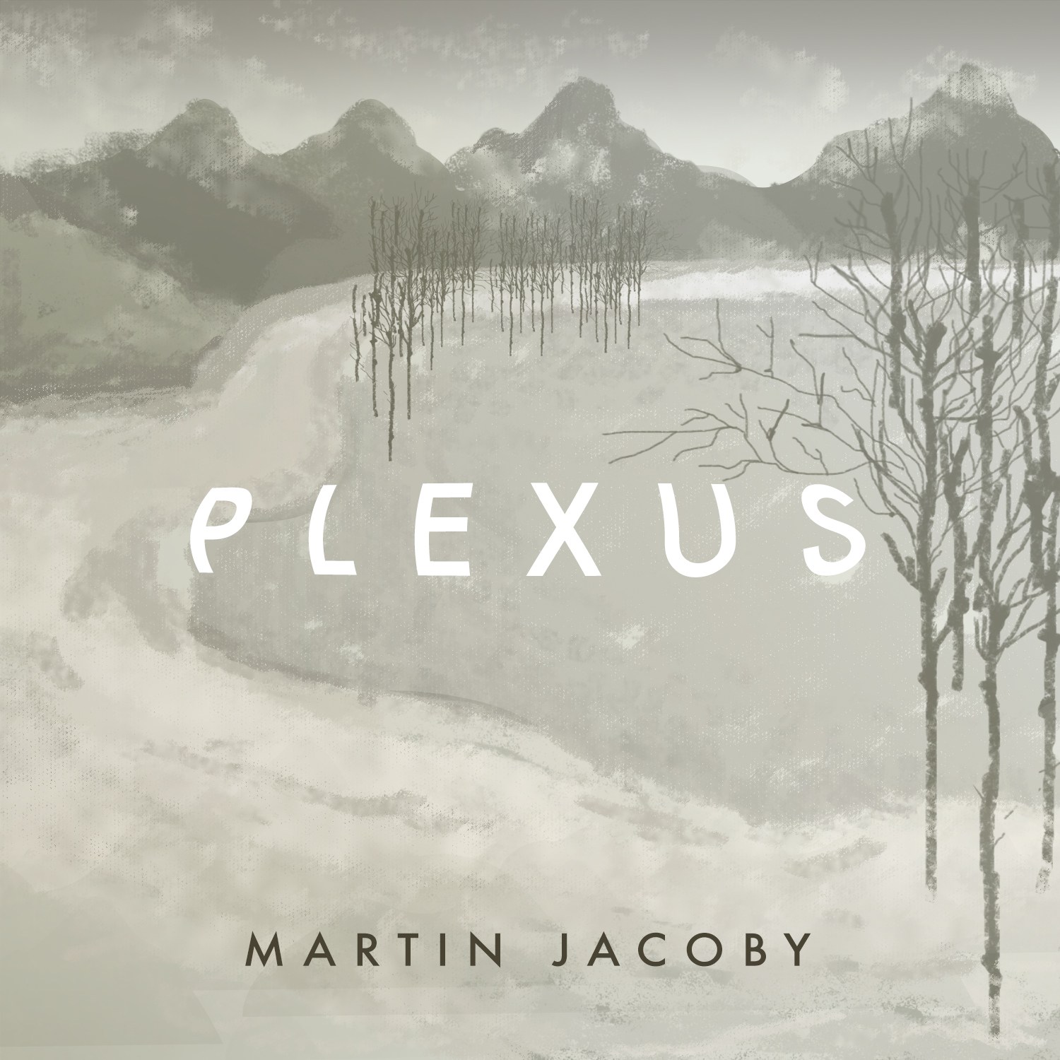Plexus (2015) – MARTIN JACOBY